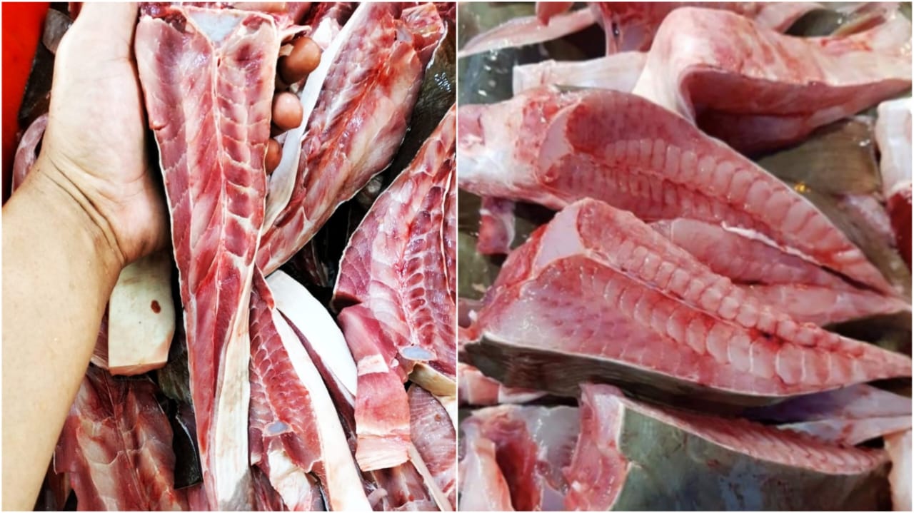 Petua Pilih Ikan Pari Yang Segar, Tak Ada Langsung Bau Hancing! - Arus ...