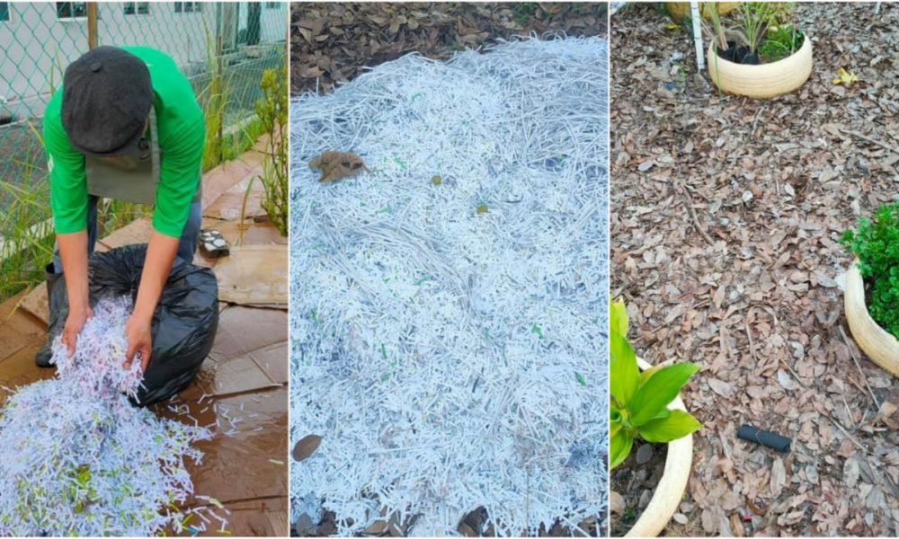 Teknik Elak Rumput Dan Lalang Tumbuh Guna kotak dan kertas rincih ...
