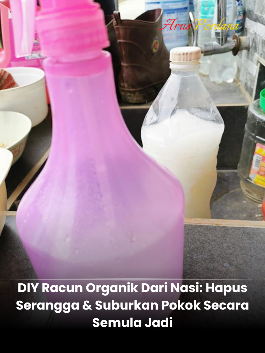 DIY Racun Organik Dari Nasi: Hapus Serangga & Suburkan Pokok