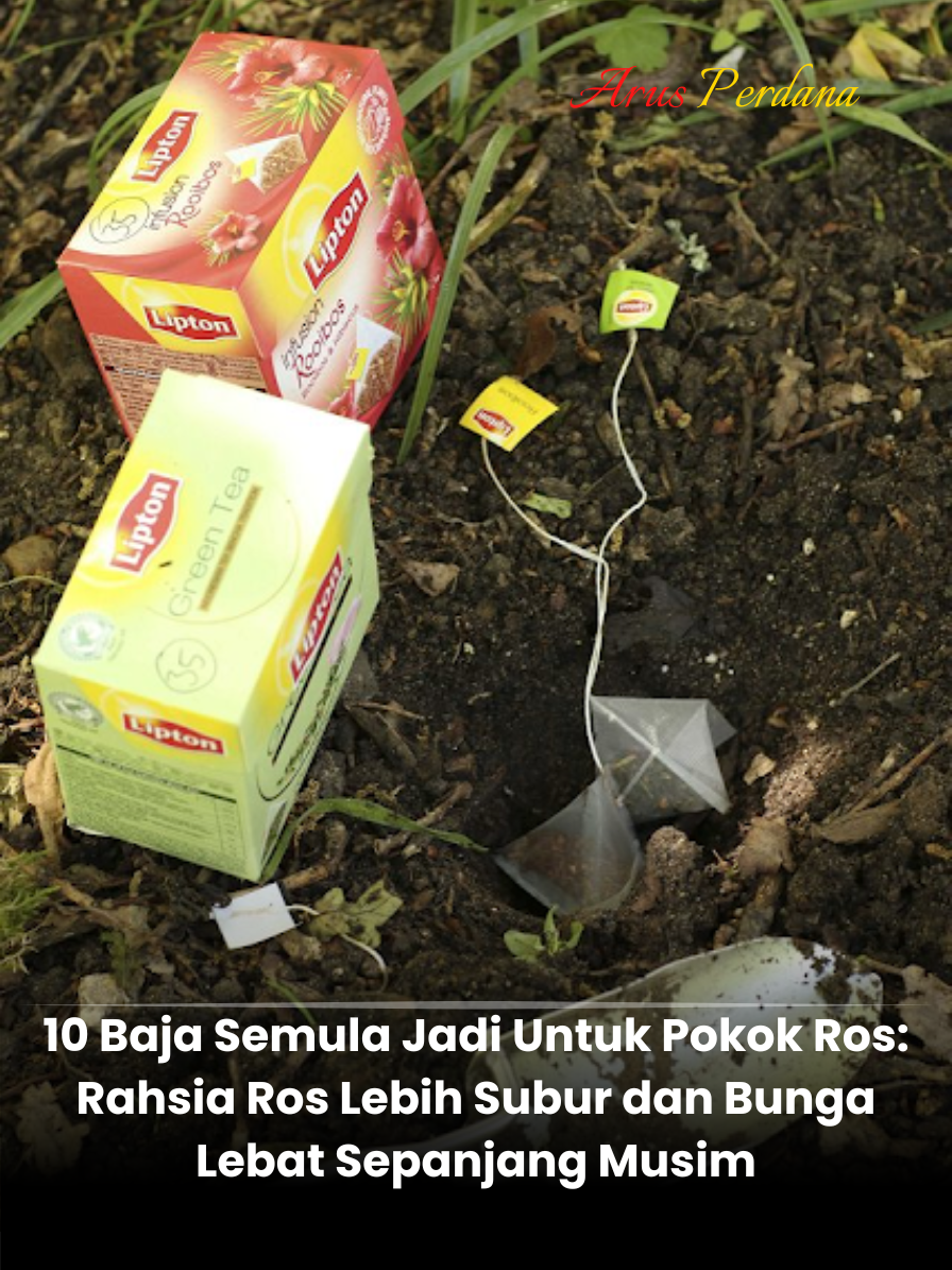 10 Baja Semula Jadi Untuk Pokok Ros: Rahsia Ros Lebih Subur